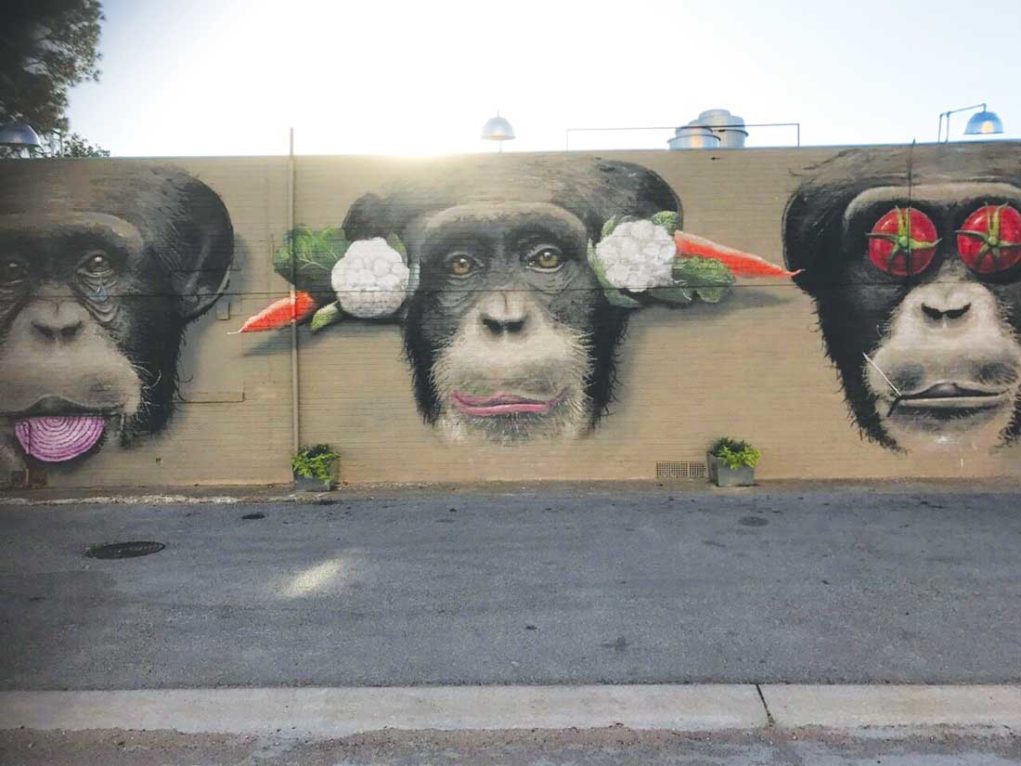 Miracle Murals - Fort Worth Weekly