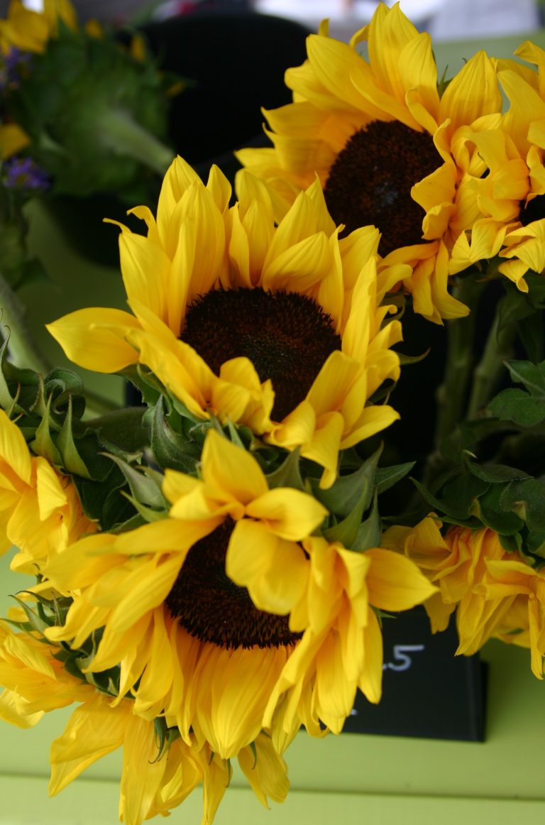 Meach Pango Sounding Juicy at Friday (the 13th) on the Green - Fort ...