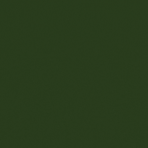 Defiant 500x500 - Fort Worth Weekly